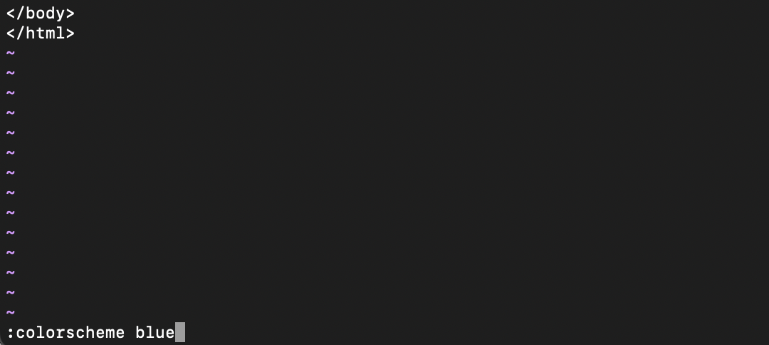 vim چیست؟ نصب ادیتور vim در لینوکس+دستورات کاربردی