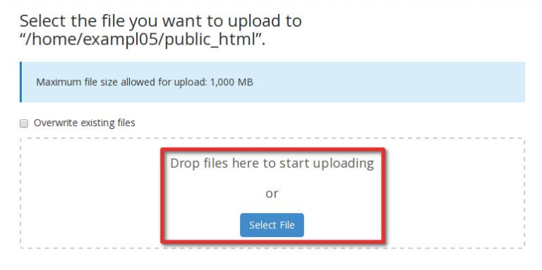 راهنمای مدیریت فایل در سی پنل {آموزش کار با File Manager}