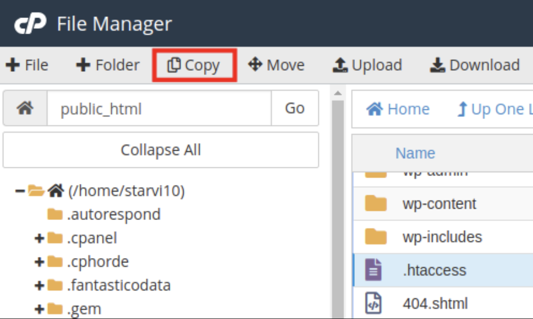 راهنمای مدیریت فایل در سی پنل {آموزش کار با File Manager}